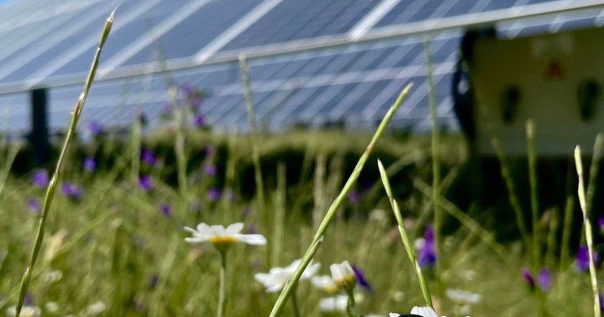 El proyecto Serol, de Esparity Solar, obtiene el Sello de Excelencia para la Sostenibilidad de ...